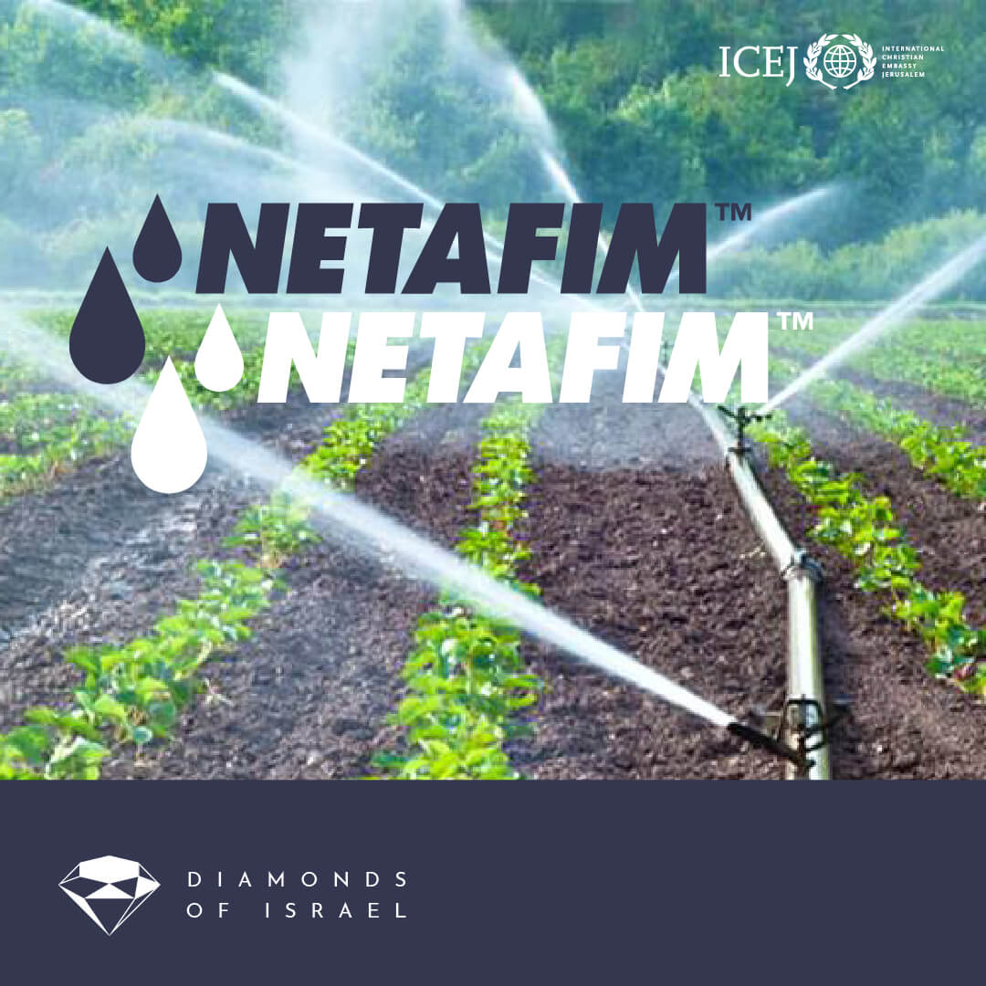 Israel aos 75: uma nação que abençoa o mundo inteiro - ICEJ