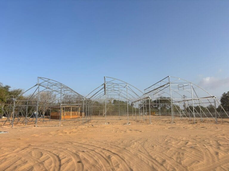 ICEJ Builds Greenhouse Classroom for Israel’s Future Farmers - ICEJ